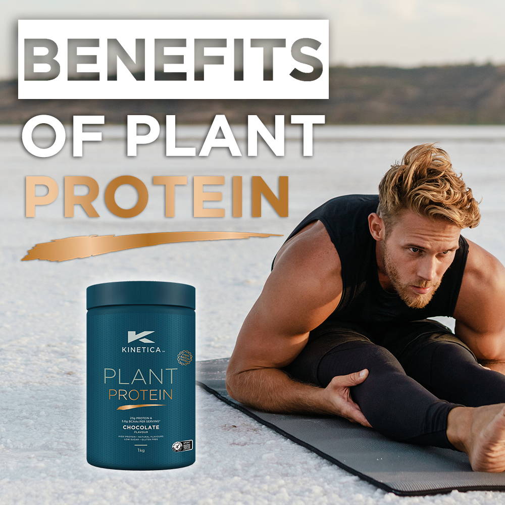 What are the Benefits of using Plant-based Protein Powder?